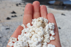 6 Tips For Popcorn Beach Fuerteventura (+ What NOT to do!)