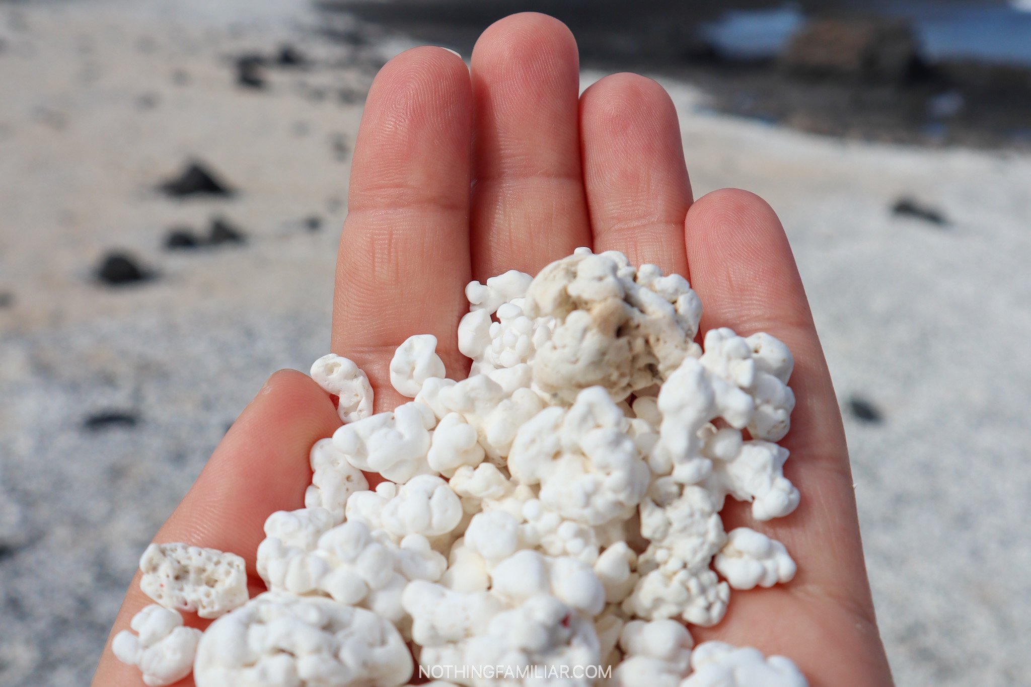 6 Helpful Tips For Your First Visit to Popcorn Beach Fuerteventura