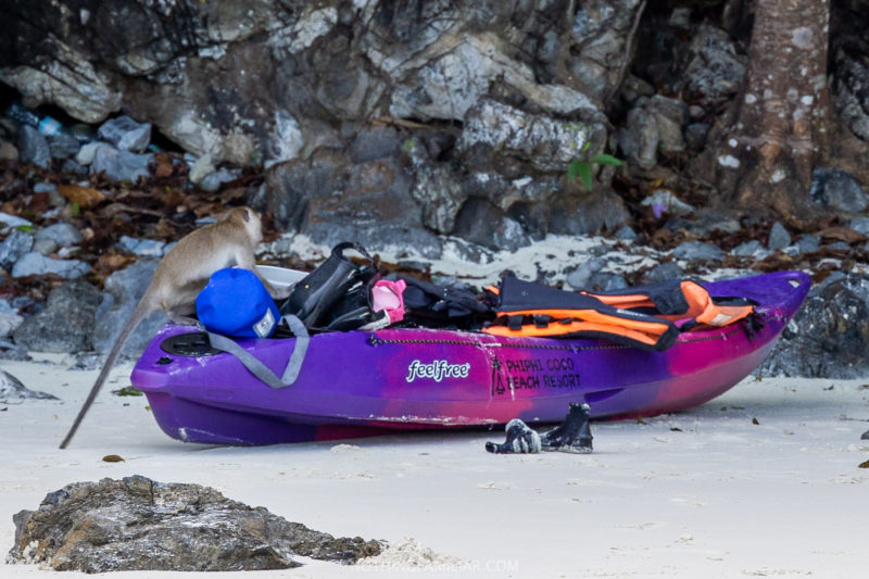 3 Best Ways to Get to Monkey Beach Thailand From Phi Phi Island