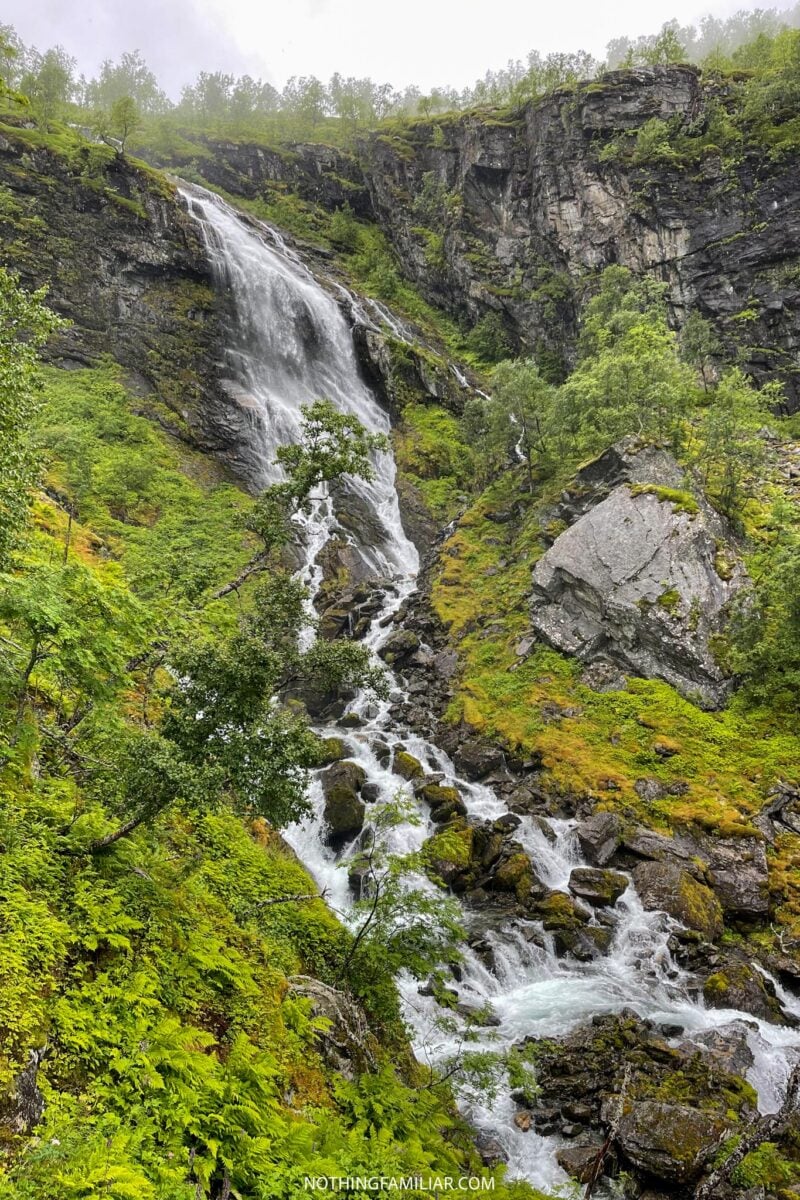 Flam Norway Railway: Why You Should Take the Train & Bike Back