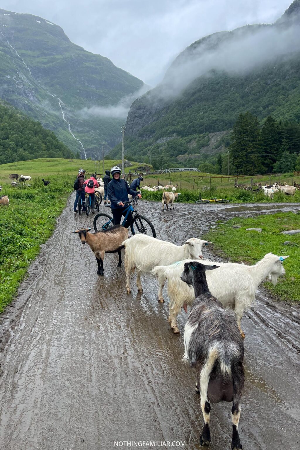 Flam Norway Railway: Why You Should Take the Train & Bike Back