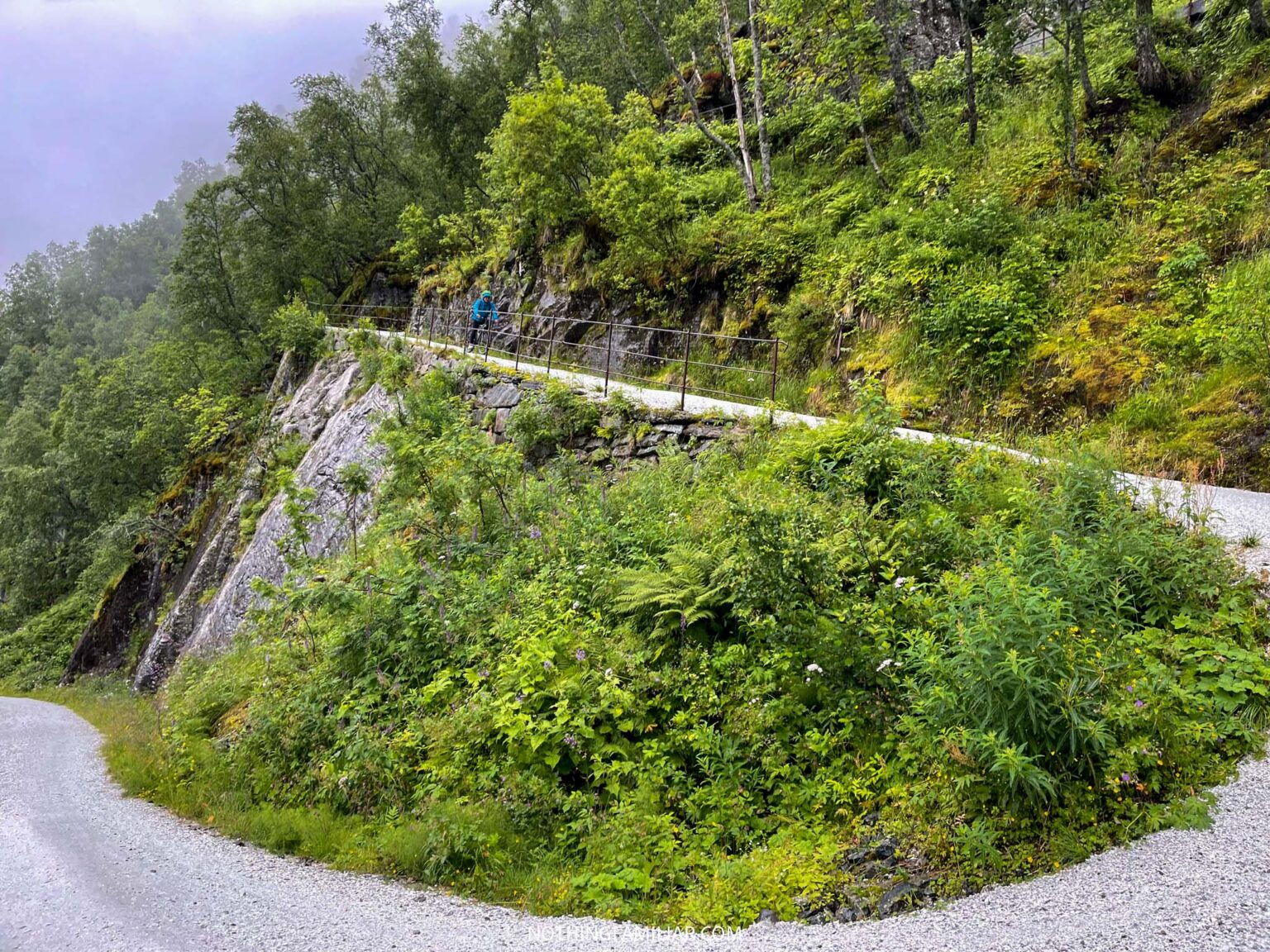 Flam Norway Railway: Why You Should Take the Train & Bike Back