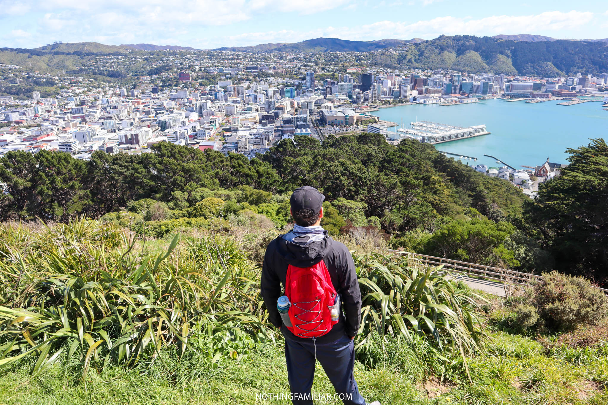 10 Fun Things to do in Wellington On Your First Visit