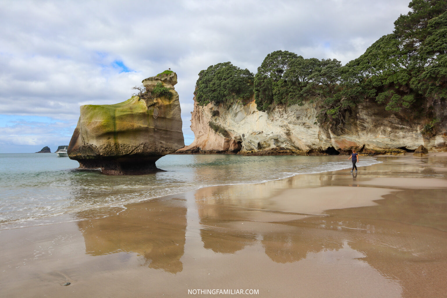 Cathedral Cove Walk: How to Visit the Famous Coromandel Beach