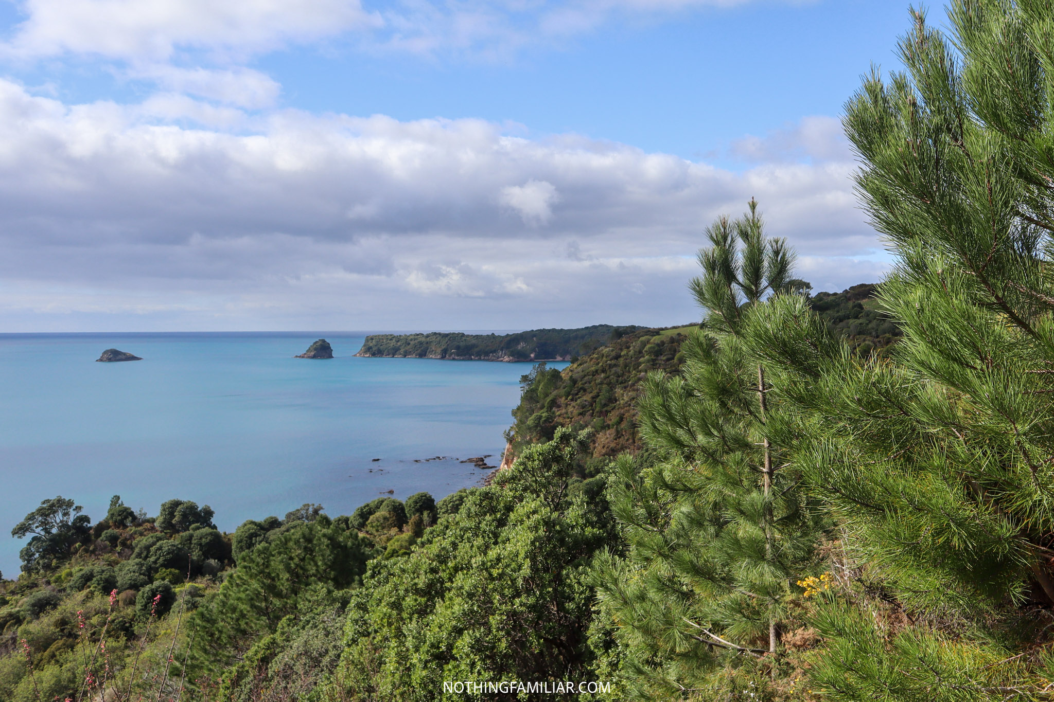 Cathedral Cove Walk: How to Visit the Famous Coromandel Beach