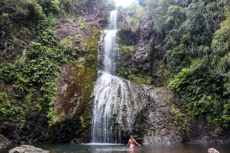 Why Piha Beach & Kitekite Falls is a MUST Visit From Auckland