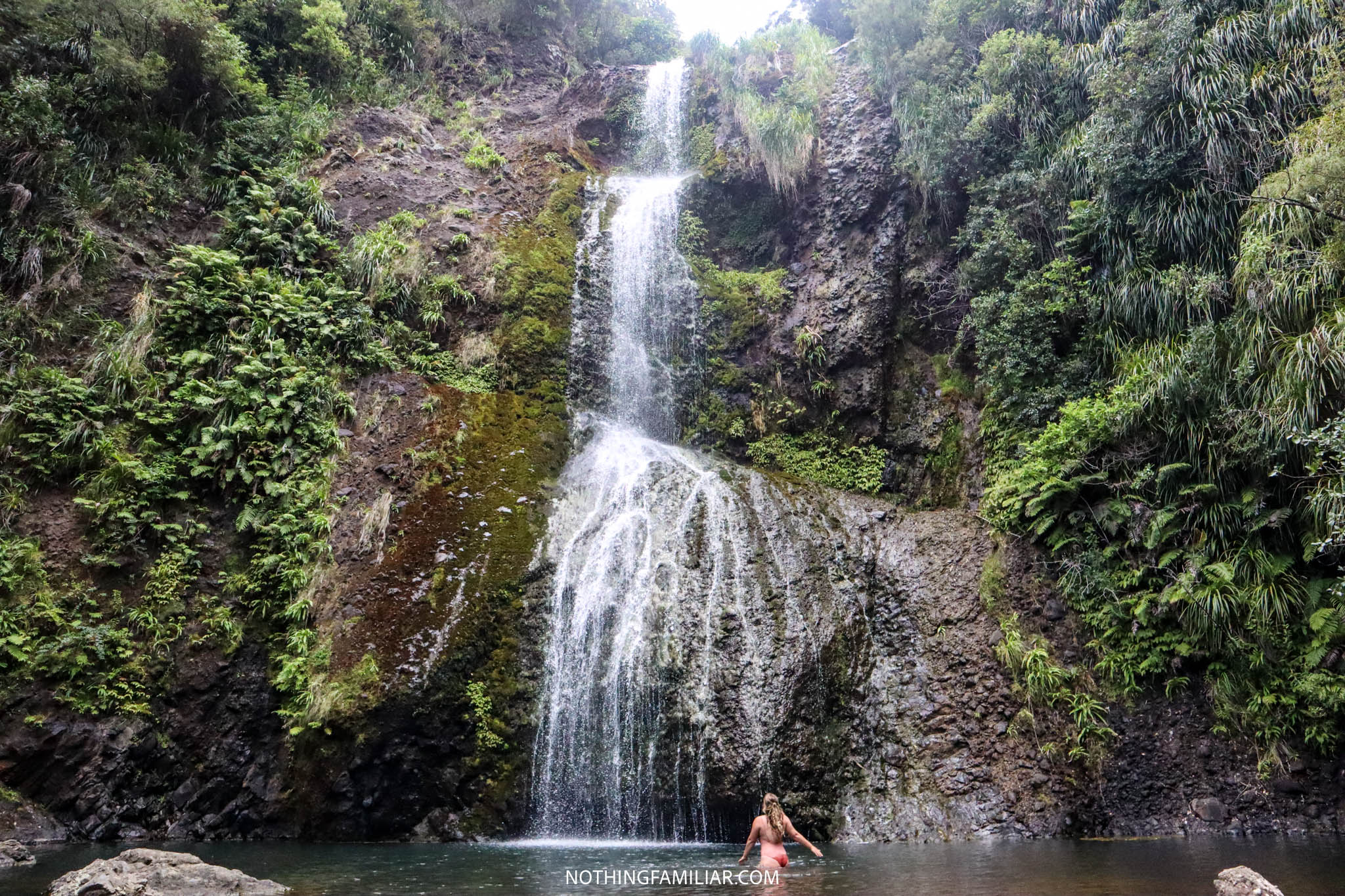 Why Piha Beach & Kitekite Falls is a MUST Visit From Auckland