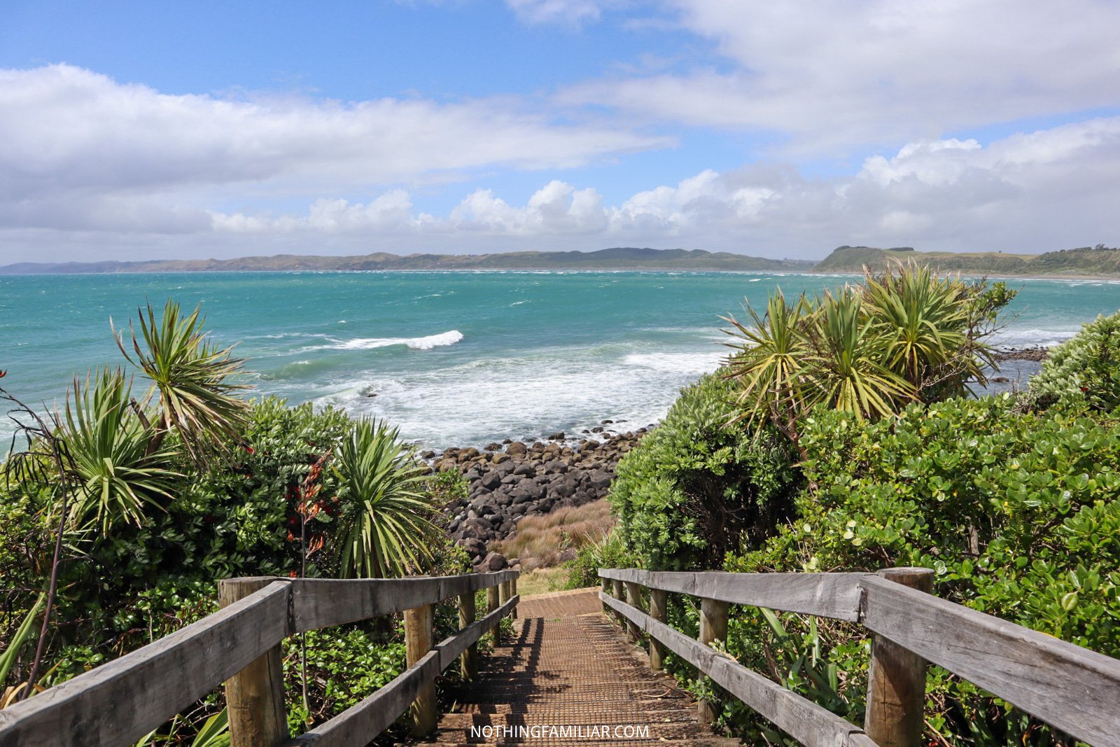 8 Best Things to Do in Raglan New Zealand On Your First Visit