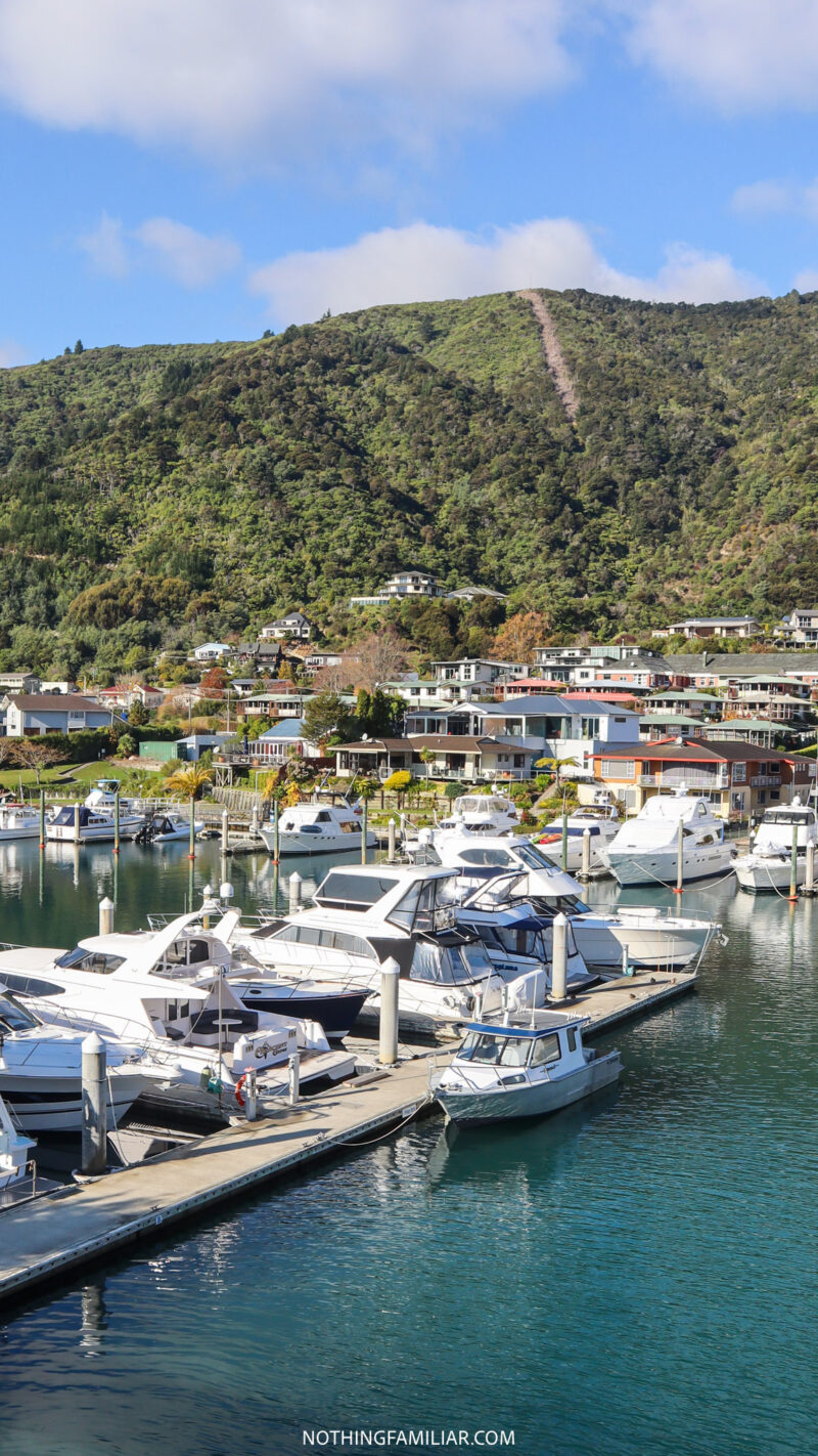 6 Can't Miss Things to do in Picton New Zealand
