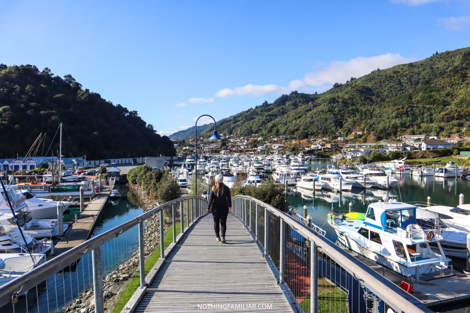 6 Can't Miss Things to do in Picton New Zealand