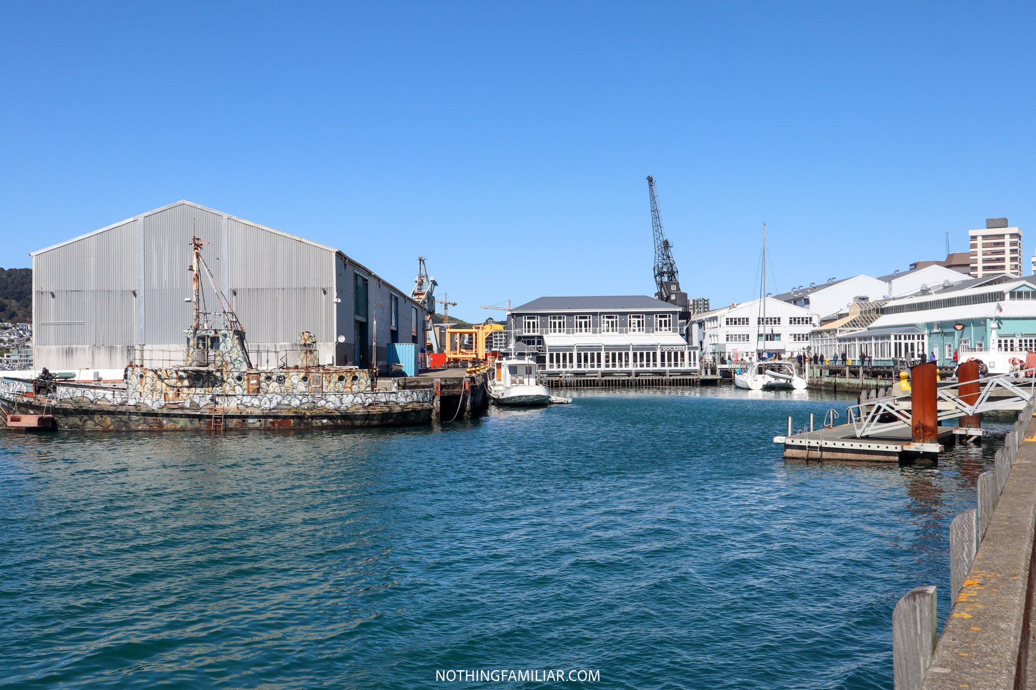 10 Fun Things to do in Wellington On Your First Visit