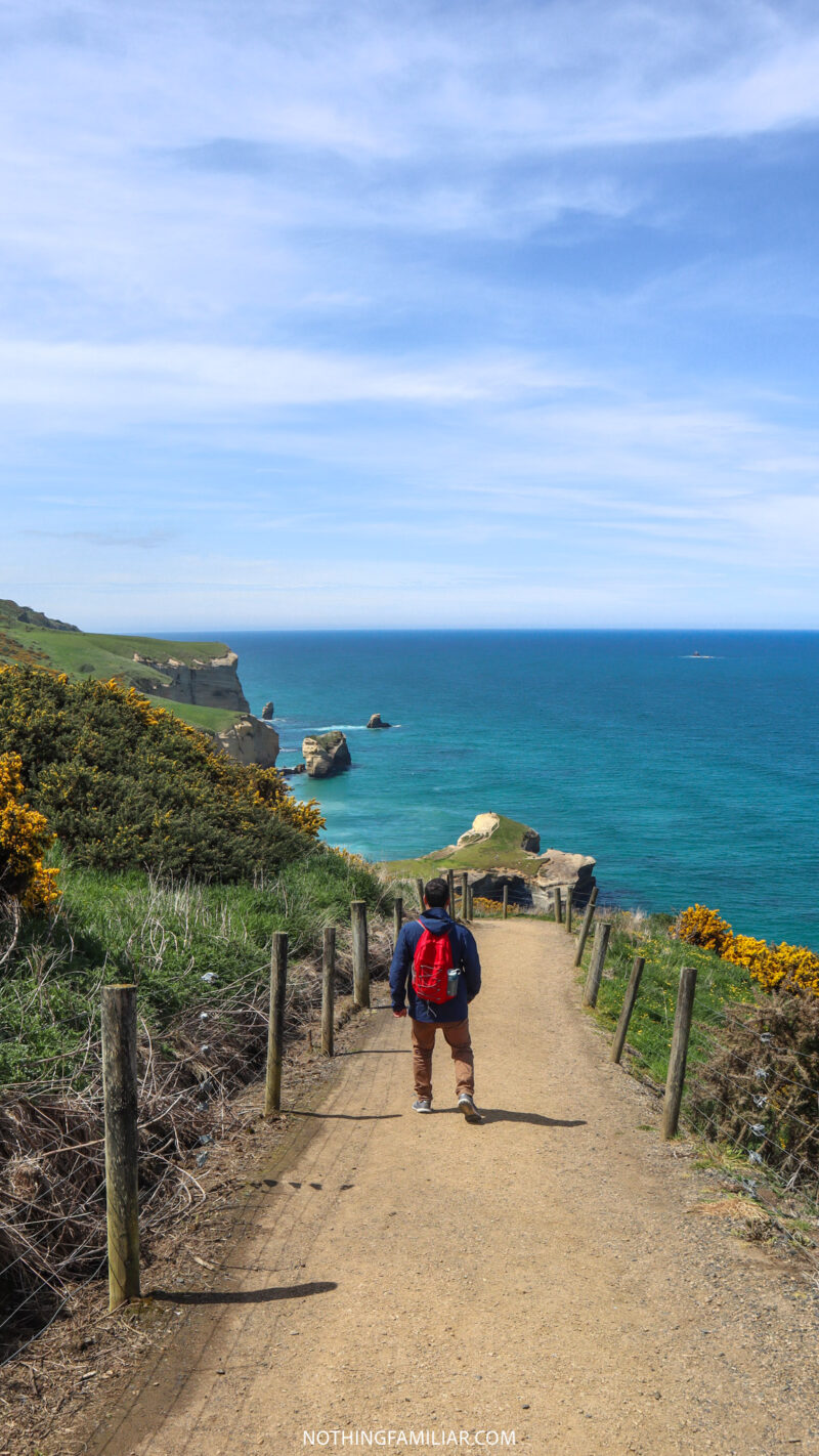How to Visit Tunnel Beach in Dunedin (Don't Miss This Walk!)