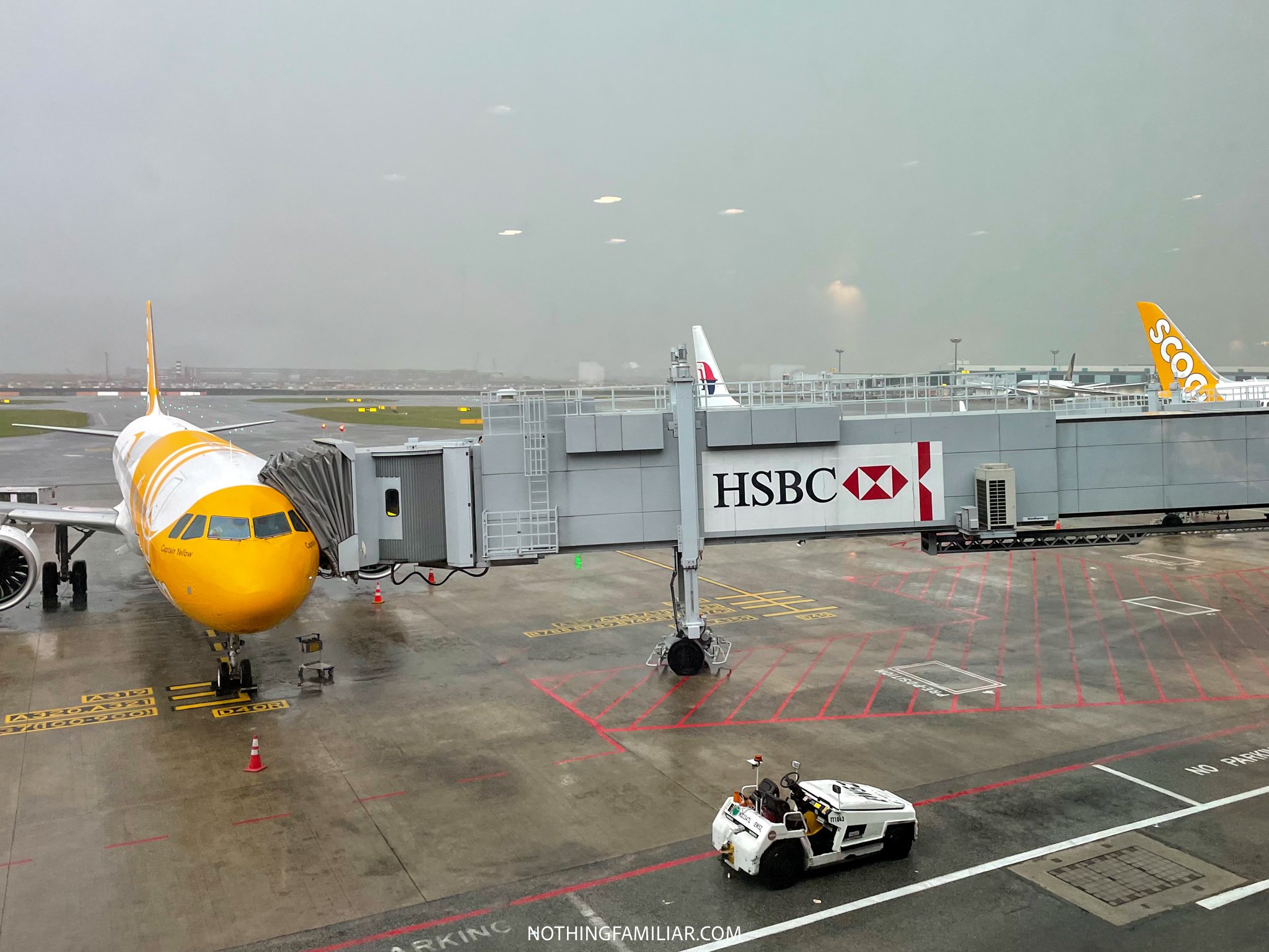 What's it Like Flying Scoot Airlines? Our Honest Flight Review