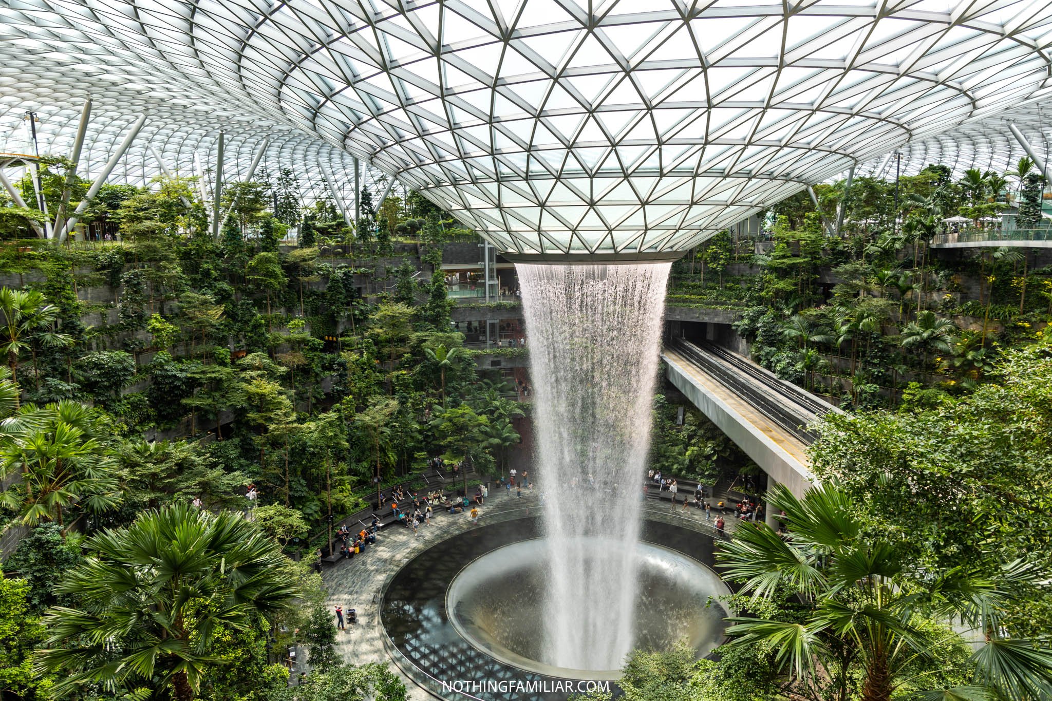 What's it Like Flying Scoot Airlines? Our Honest Flight Review