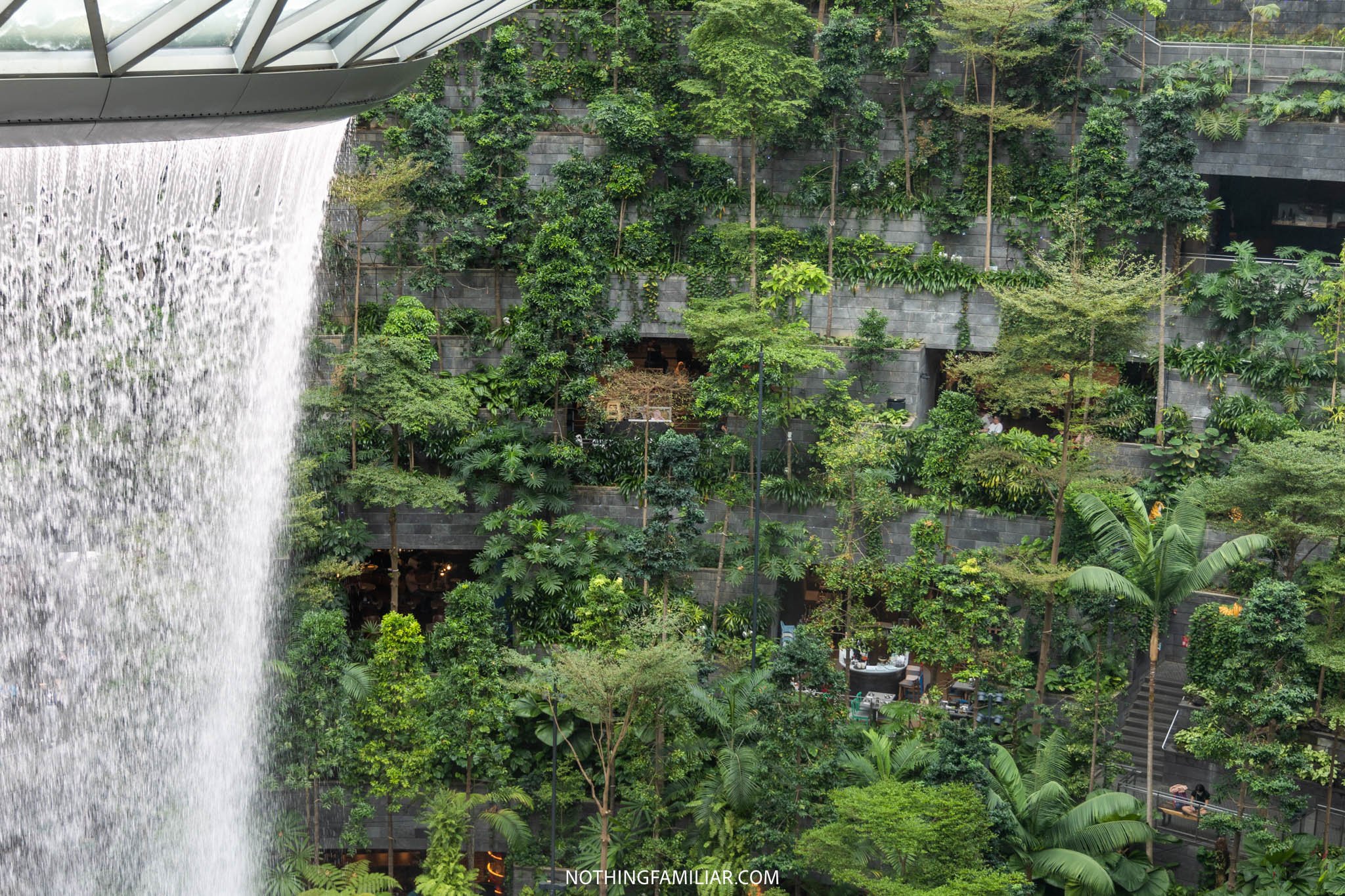How to Find the Jewel Singapore Airport Waterfall On a Layover