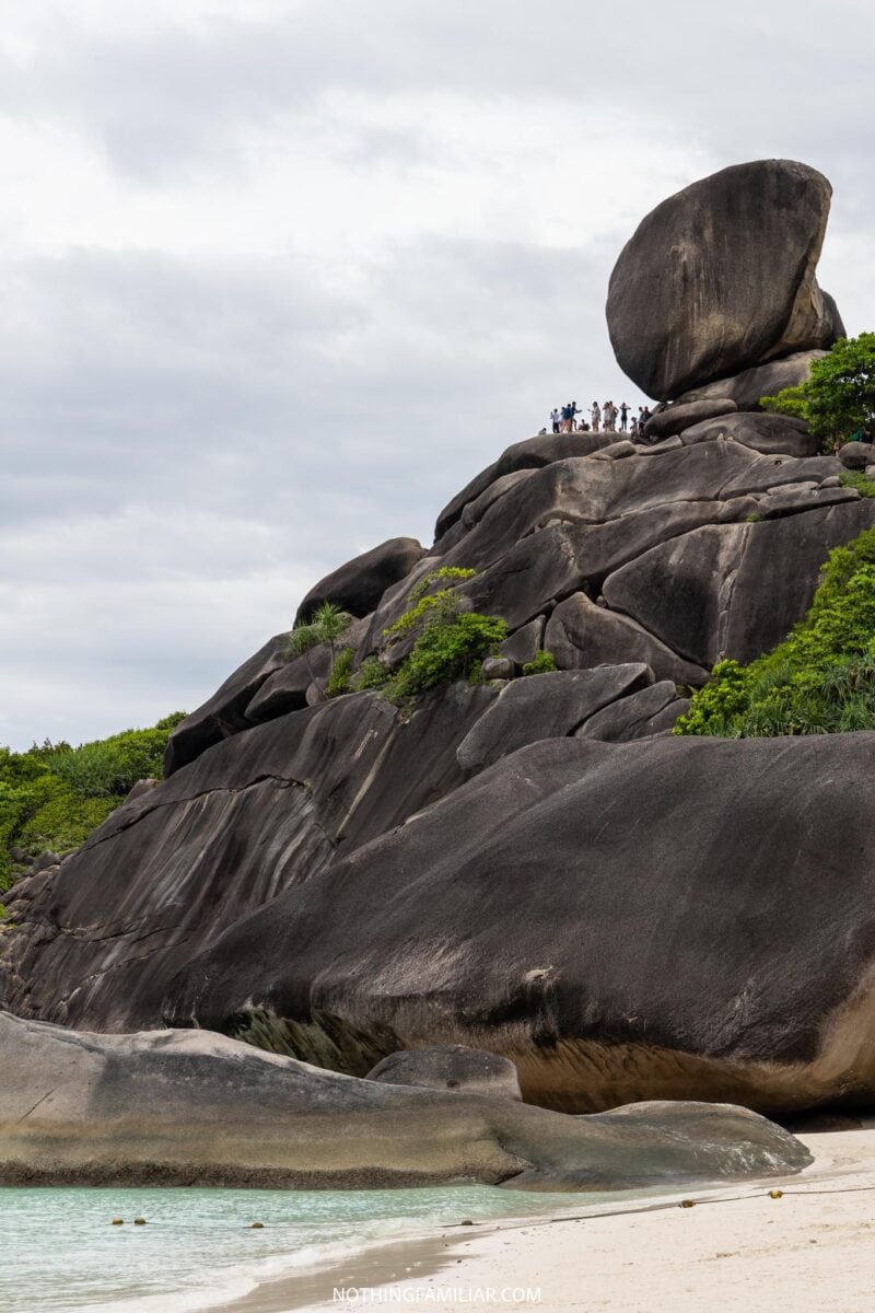 How to Pick the BEST Similan Islands Tour & Tips From Our Trip!