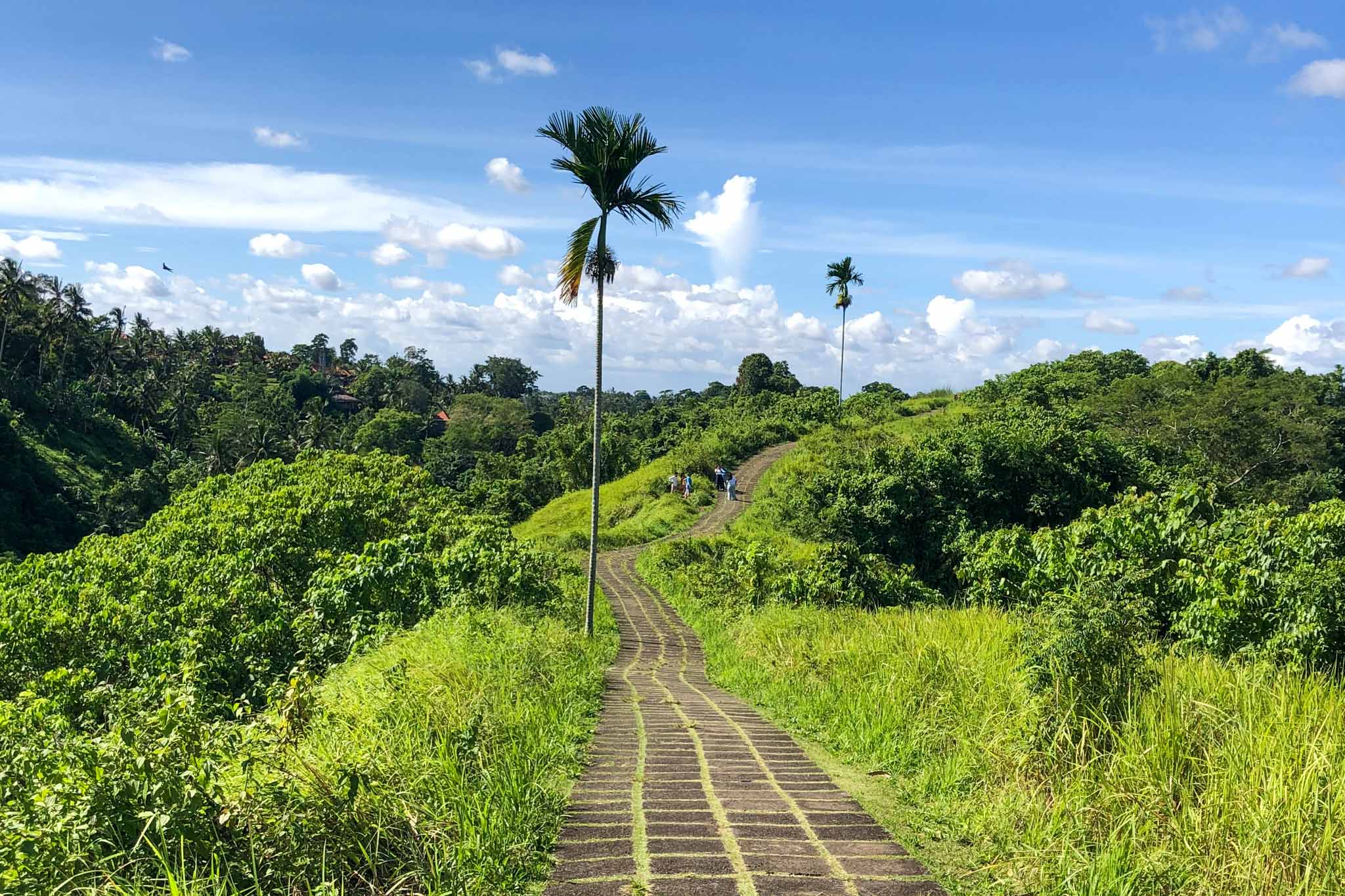 Is Bali Worth Visiting? Pros and Cons of Indonesia’s Famous Island