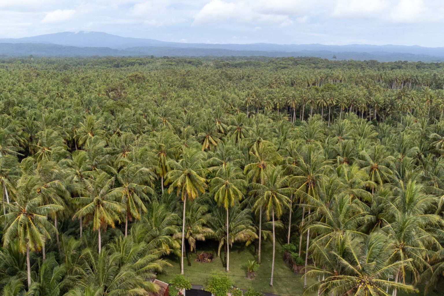 How to Get to Krui Sumatra: 6 Hour Transfer vs Hopper Flight