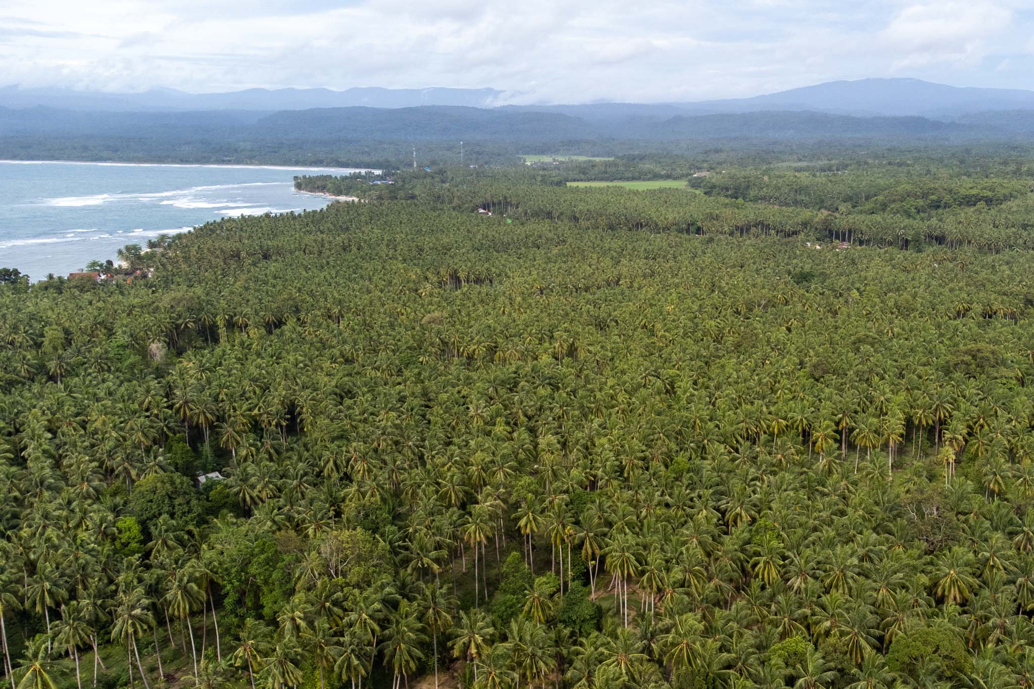 How to Get to Krui Sumatra: 6 Hour Transfer vs Hopper Flight