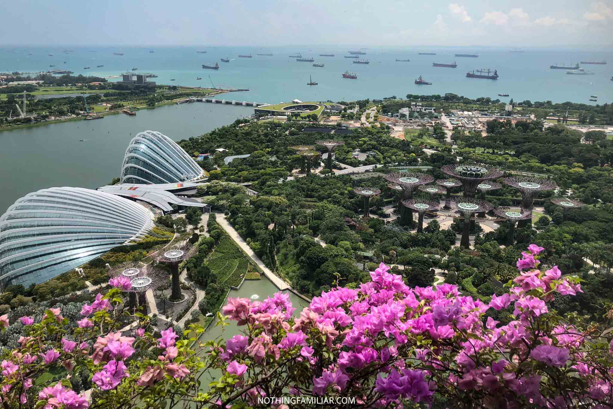 8 Gardens by the Bay Tips You Need to Know BEFORE Visiting