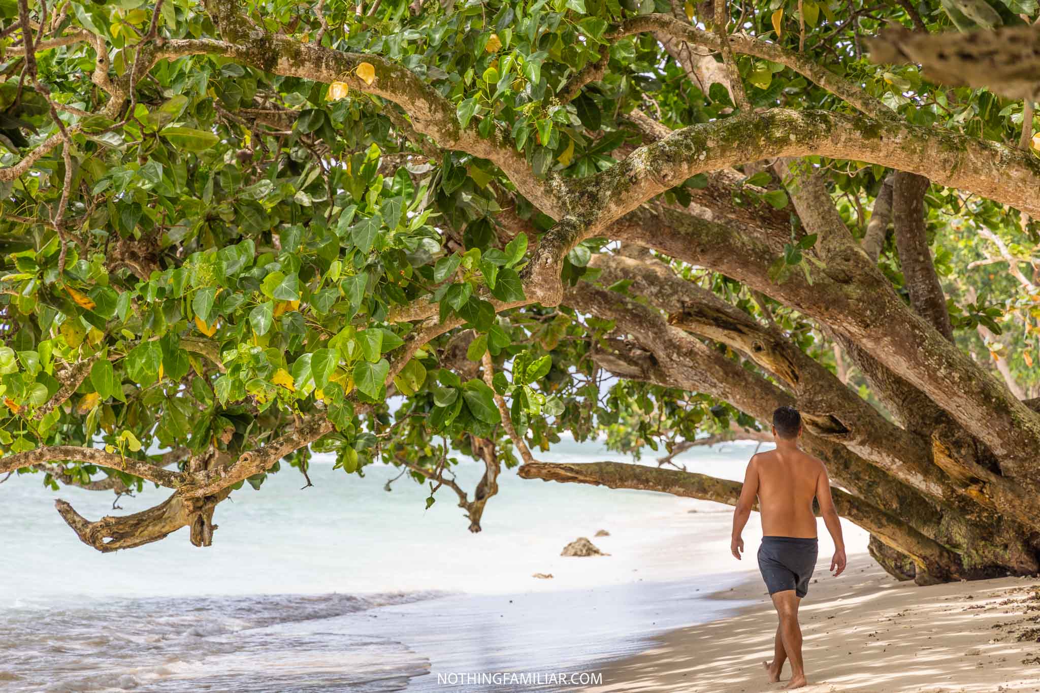 7 Fun Tips For Krui Sumatra: The Up and Coming Surf Destination!