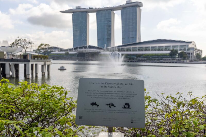 8 Merlion Park Singapore Tips to Know Before Your First Visit