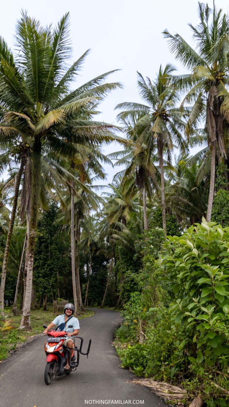7 Fun Tips For Krui Sumatra: The Up and Coming Surf Destination!
