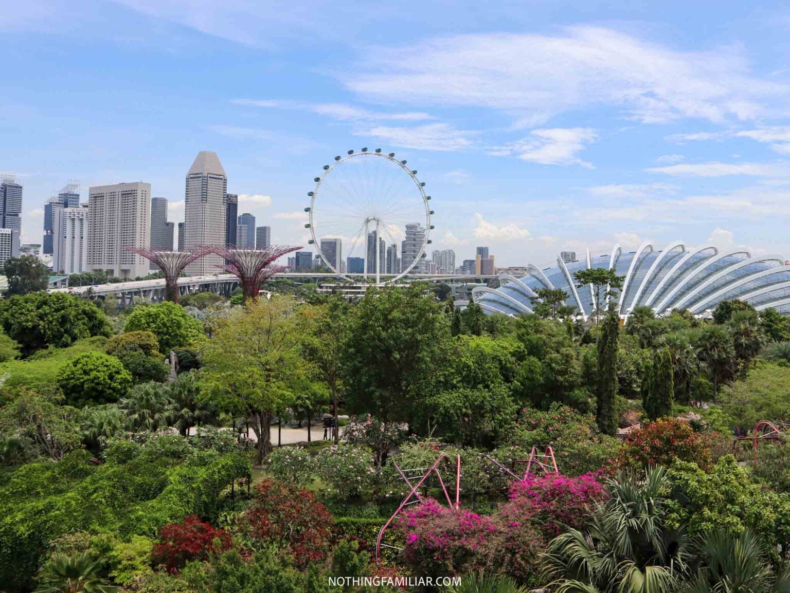How to Walk the OCBC Skyway at Supertree Grove