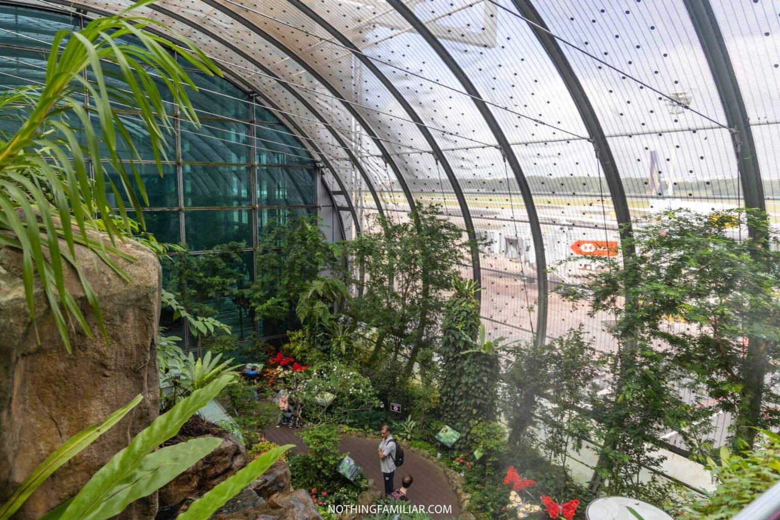 How to Visit the Beautiful Singapore Butterfly Garden at the Airport!