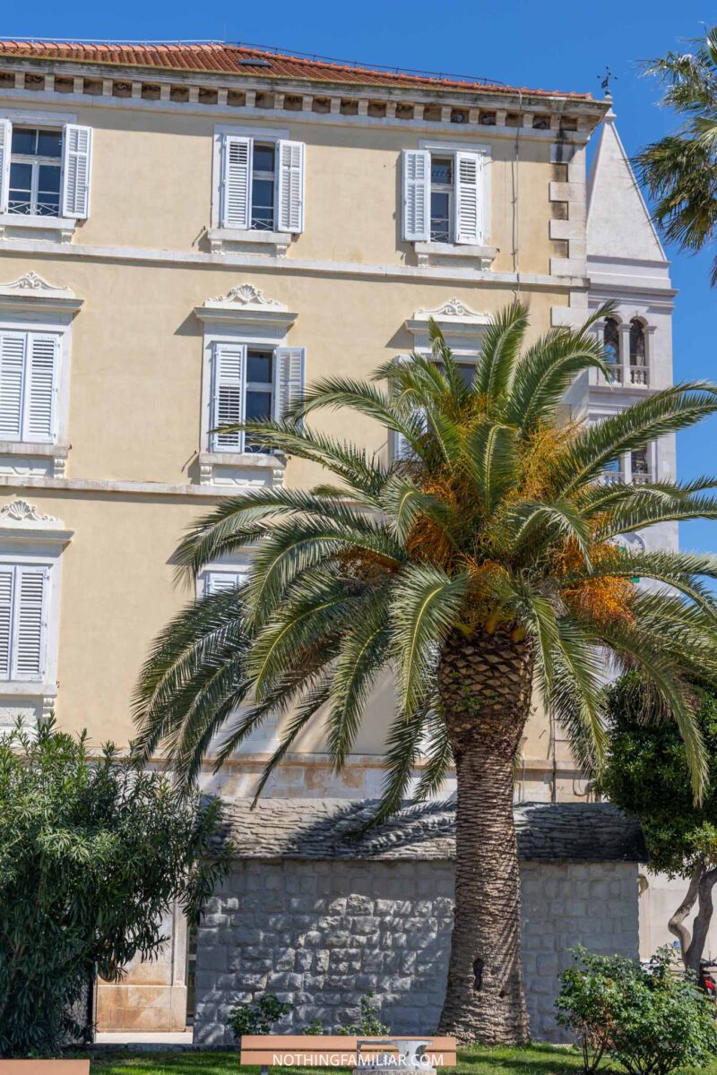 How to Get to Supetar Brac From Split (Easy Croatia Day Trip)