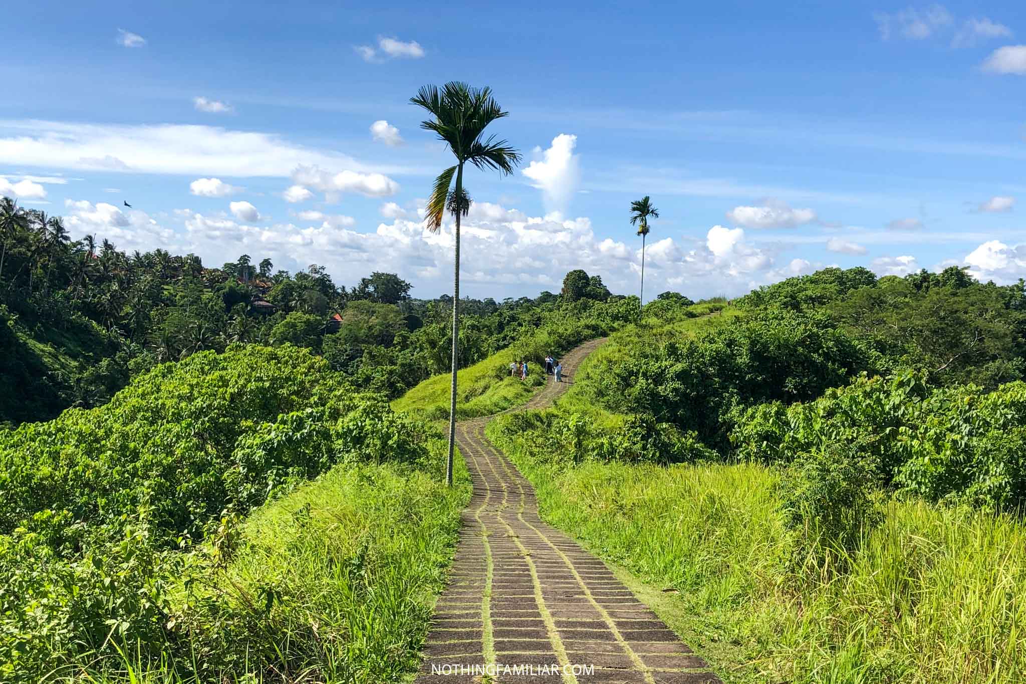 Where is Bali Located? What You NEED to Know Before You Go!