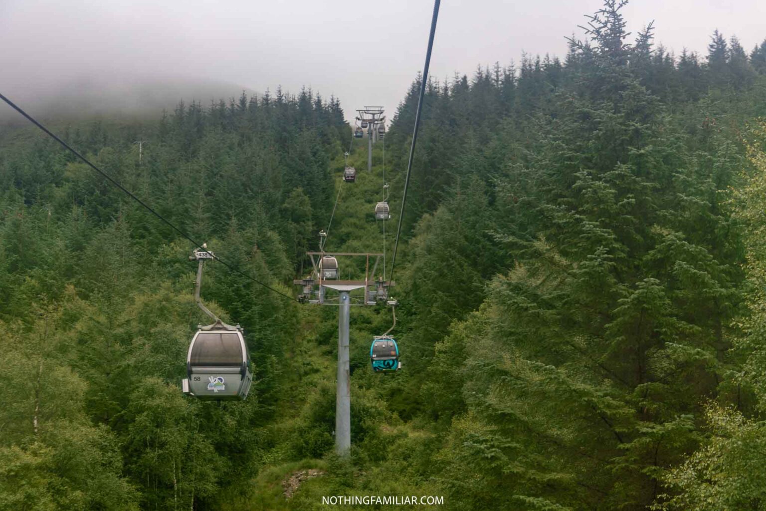 We Went Nevis Range Mountain Biking! (What to Know First)