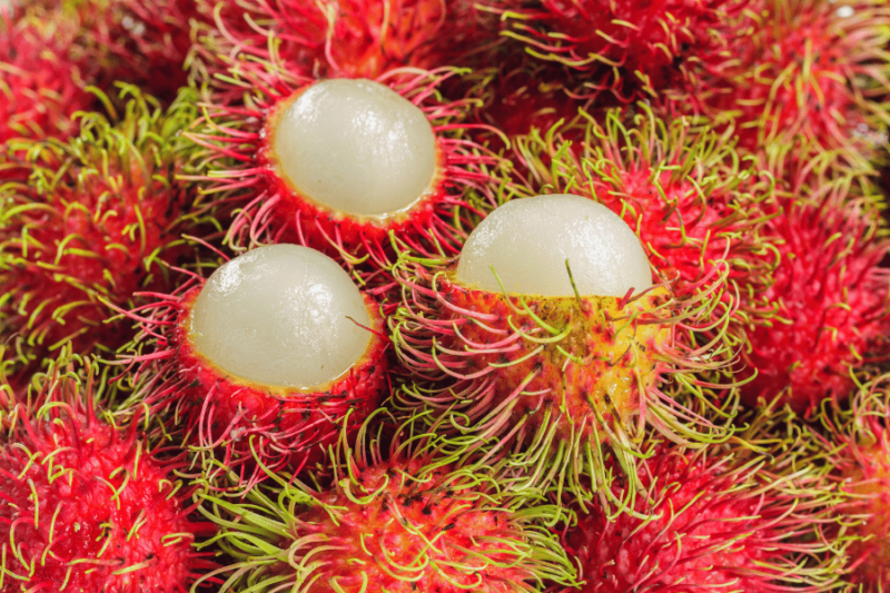 16 Tasty Thai Fruits You ABSOLUTELY Must Try in Thailand