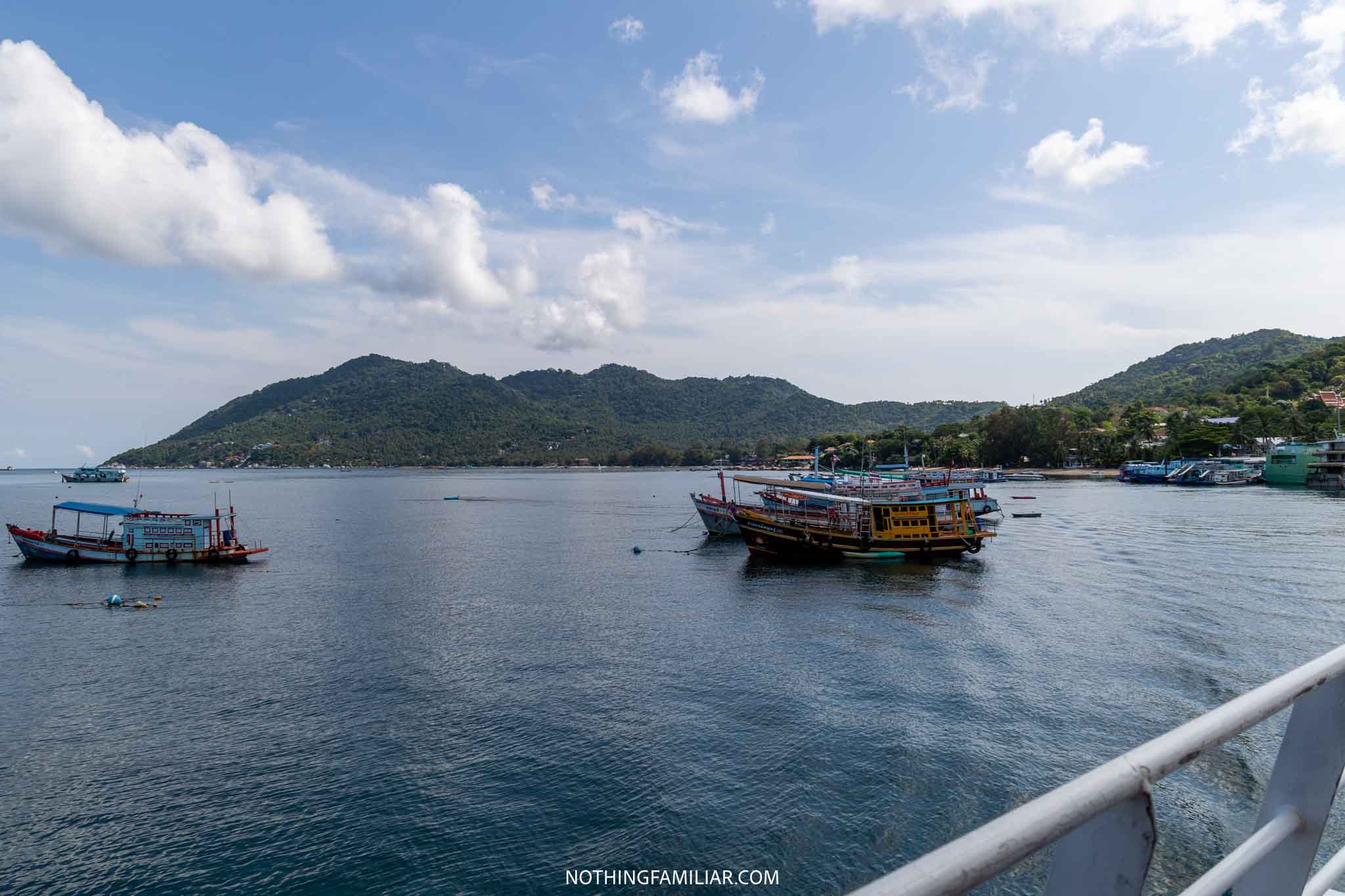 How to Get to Koh Tao: Ferry From Koh Phangan, Samui & More!