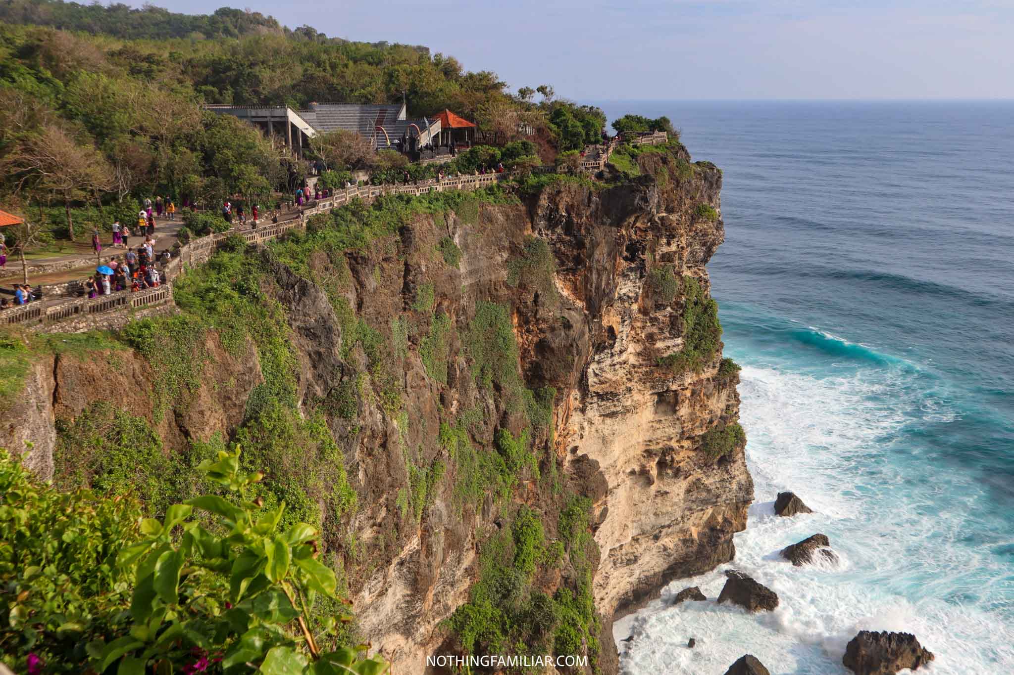 Are the Monkeys in Bali Friendly or Dangerous? (Our Experience)