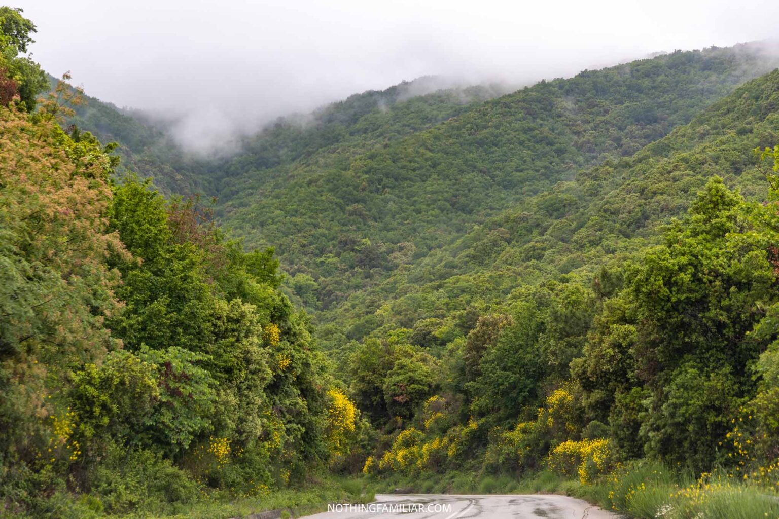 Ancient Stagira Greece: The Fascinating Birthplace of Aristotle