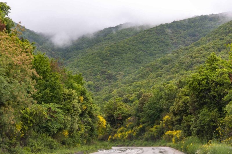 Ancient Stagira Greece: The Fascinating Birthplace of Aristotle