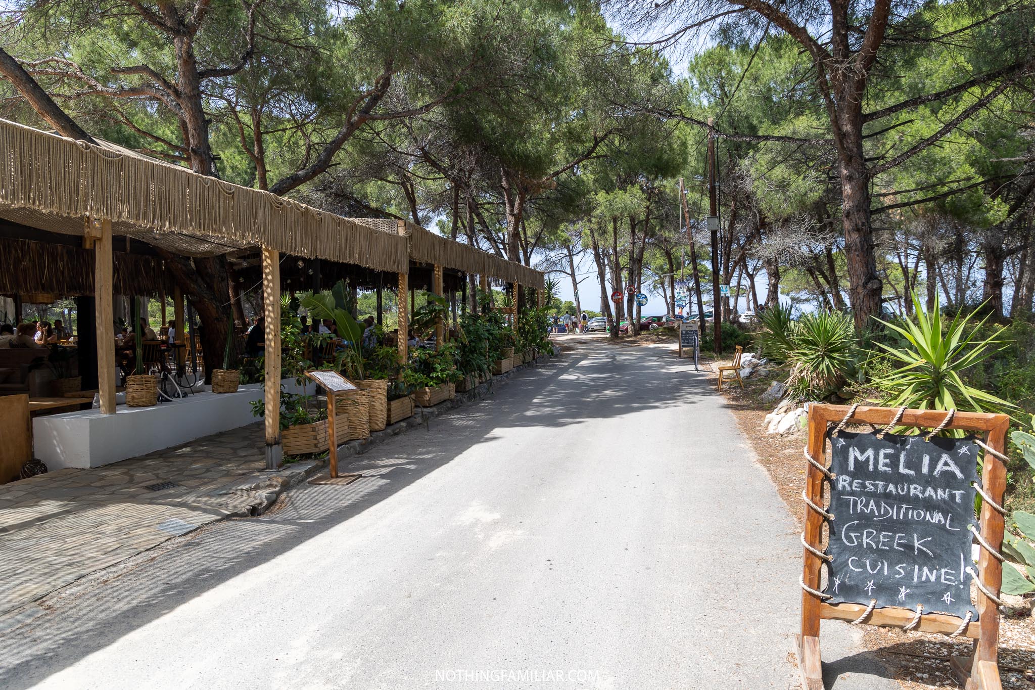 Is Karidi Beach Worth Visiting in Sithonia? What to Know First!