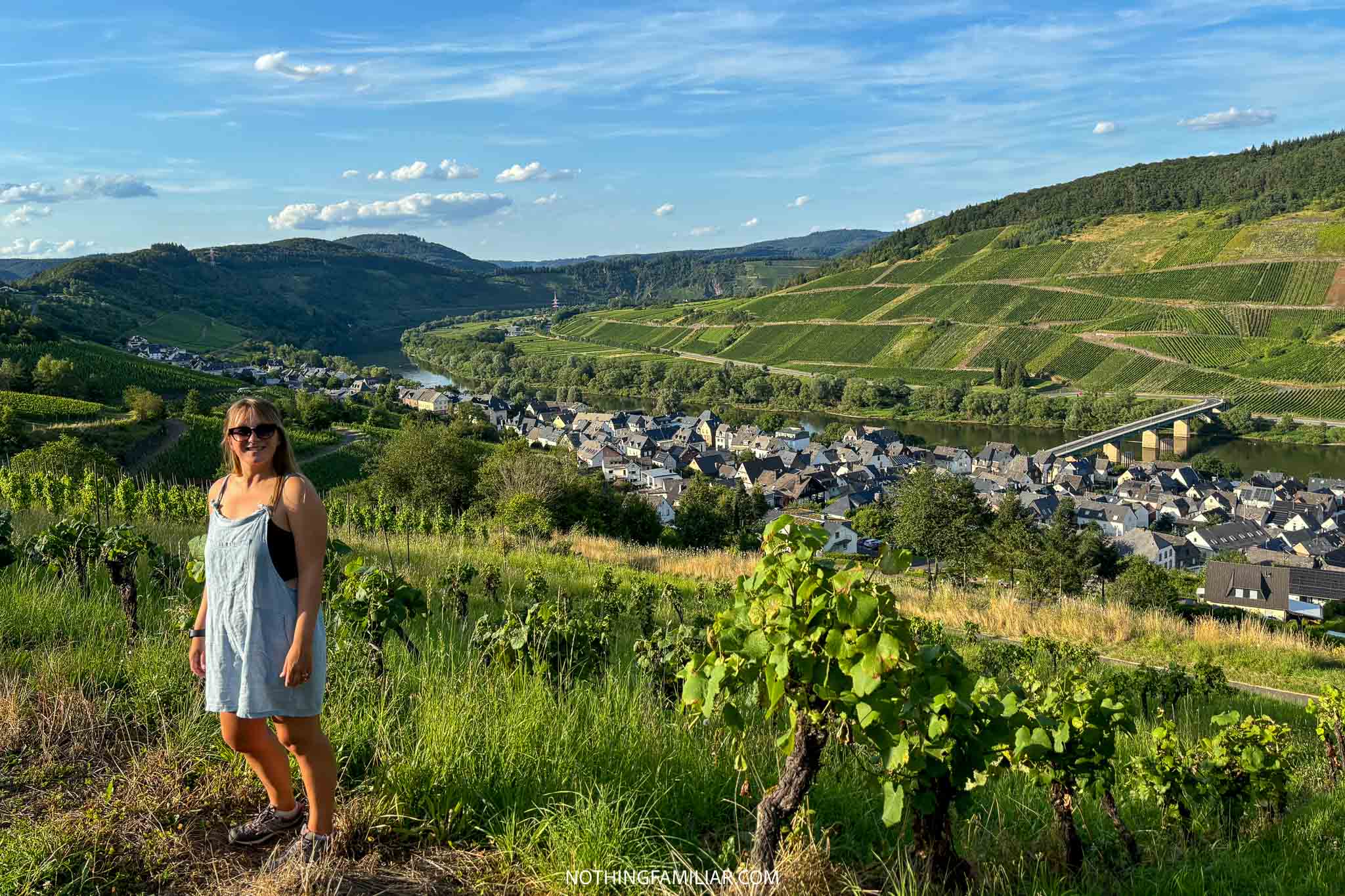 8 Magical Small Towns on the Moselle River Germany