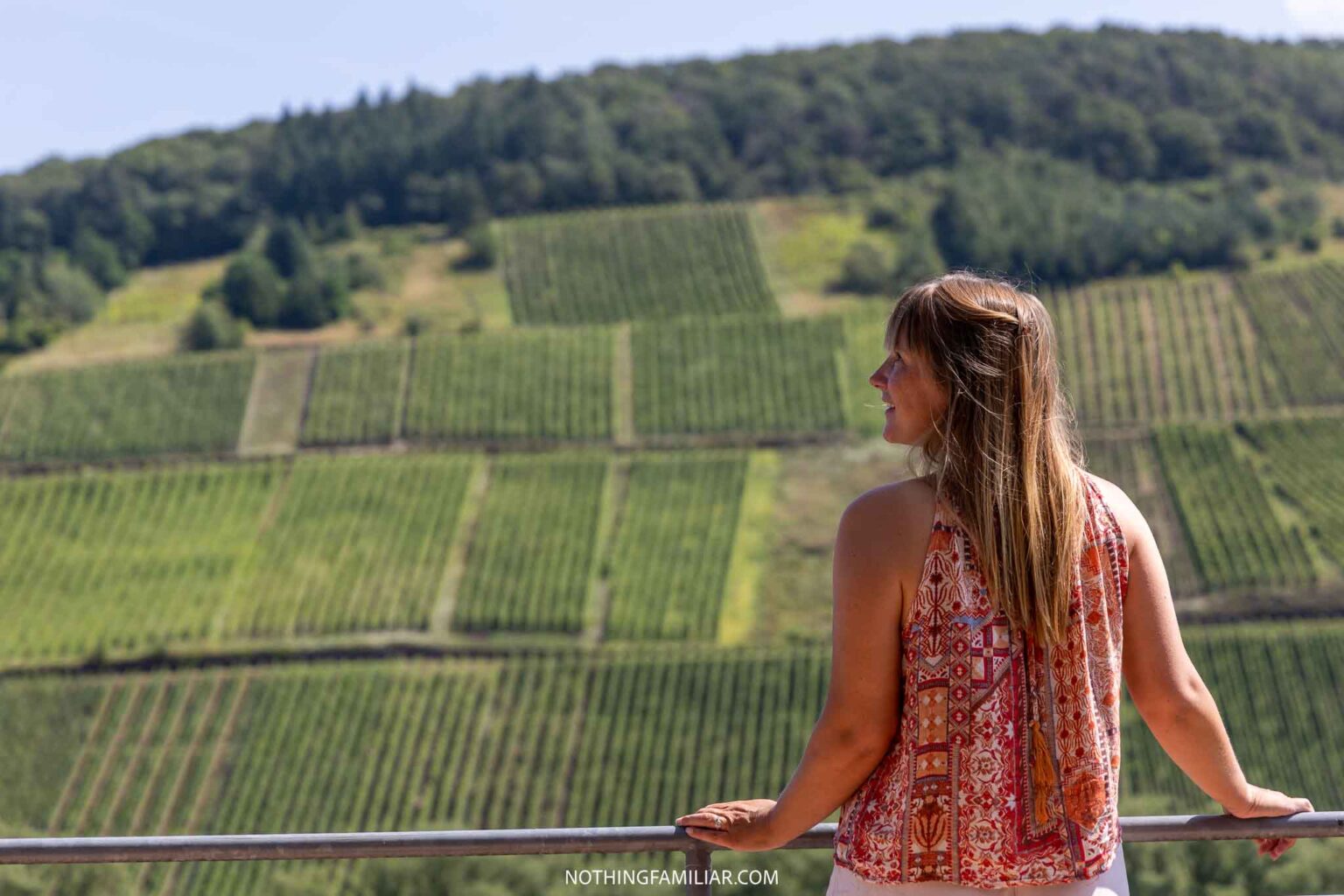 Reil Germany: What's it Like Staying in a Moselle Wine Town?