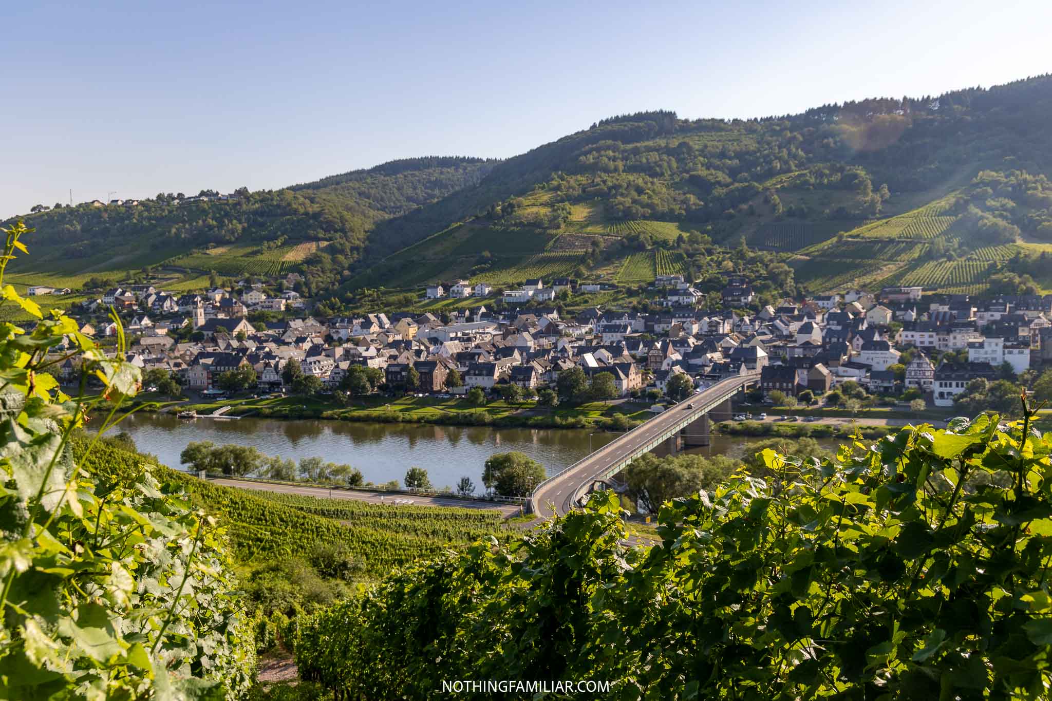 Reil Germany: What's it Like Staying in a Moselle Wine Town?