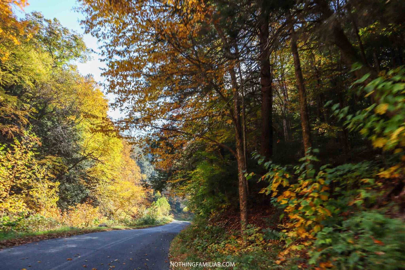 9 Must Know Tips For the Perfect Vermont Fall Foliage Trip