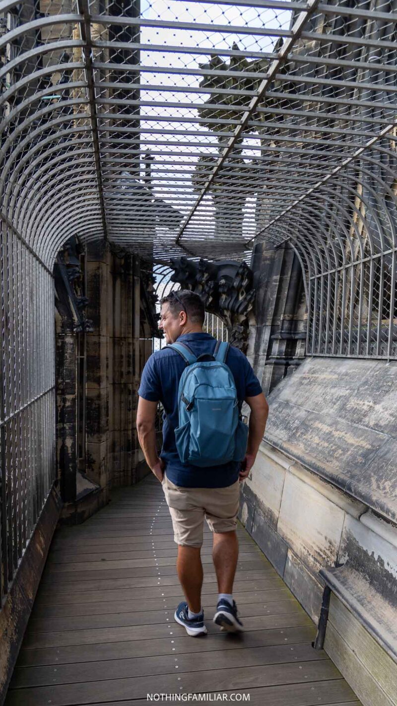 Is the Cologne Cathedral Worth the Climb? (533 Steps!)