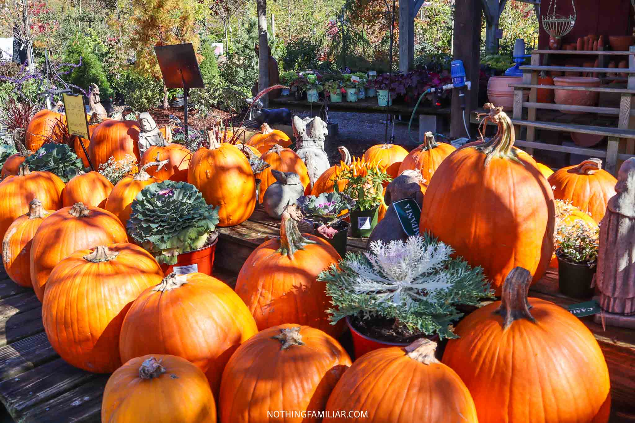 9 Must Know Tips For the Perfect Vermont Fall Foliage Trip
