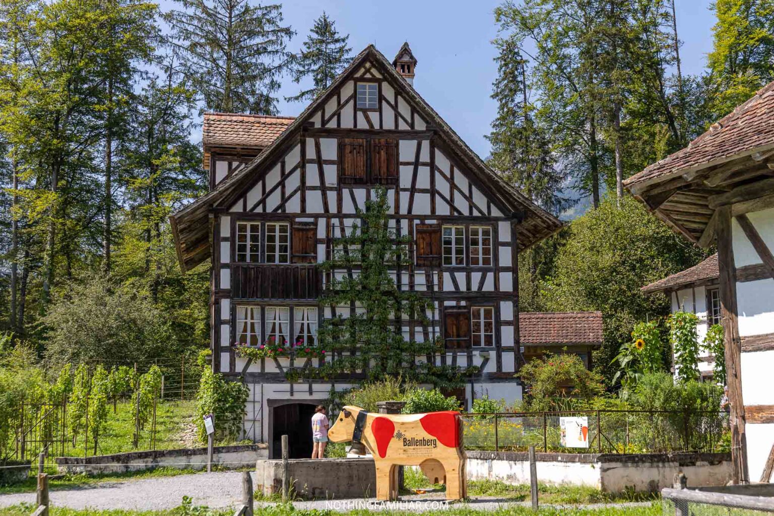 16 Top Things to do in Interlaken Switzerland