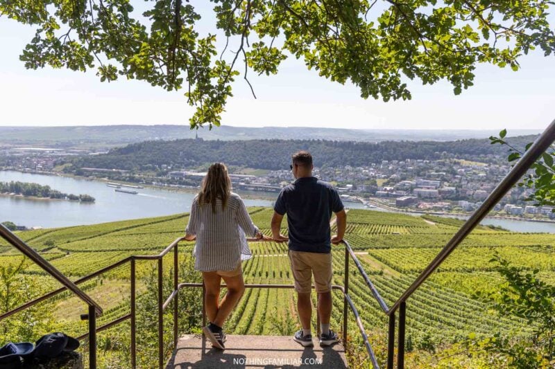 How to Spend One Day in Rudesheim Germany