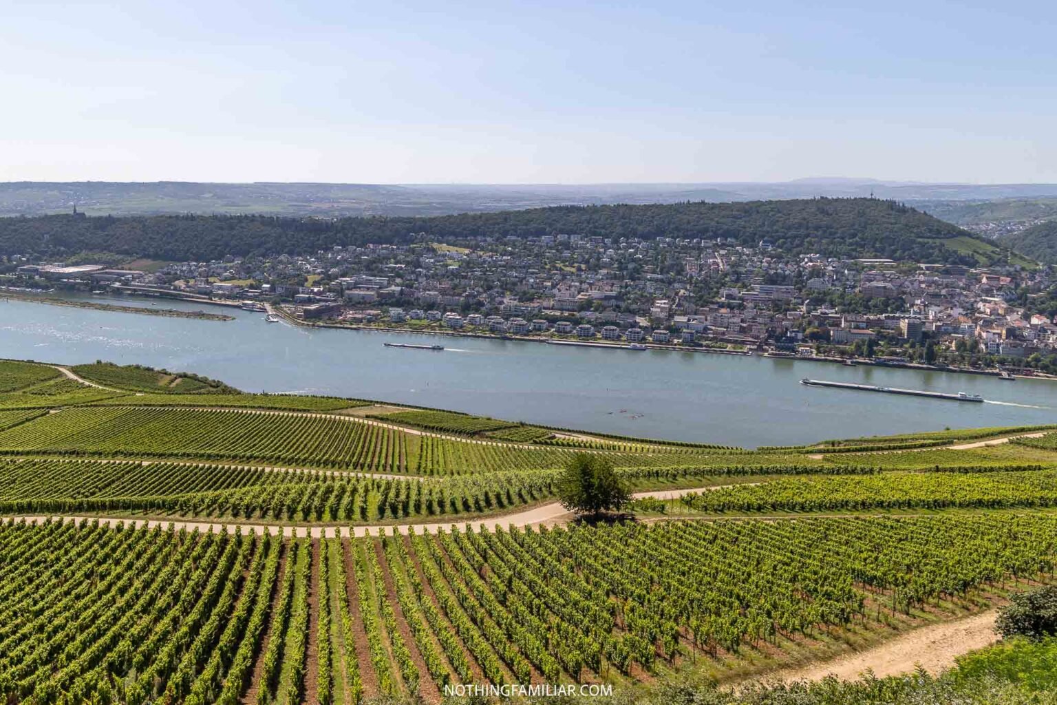 How to Spend One Day in Rudesheim Germany