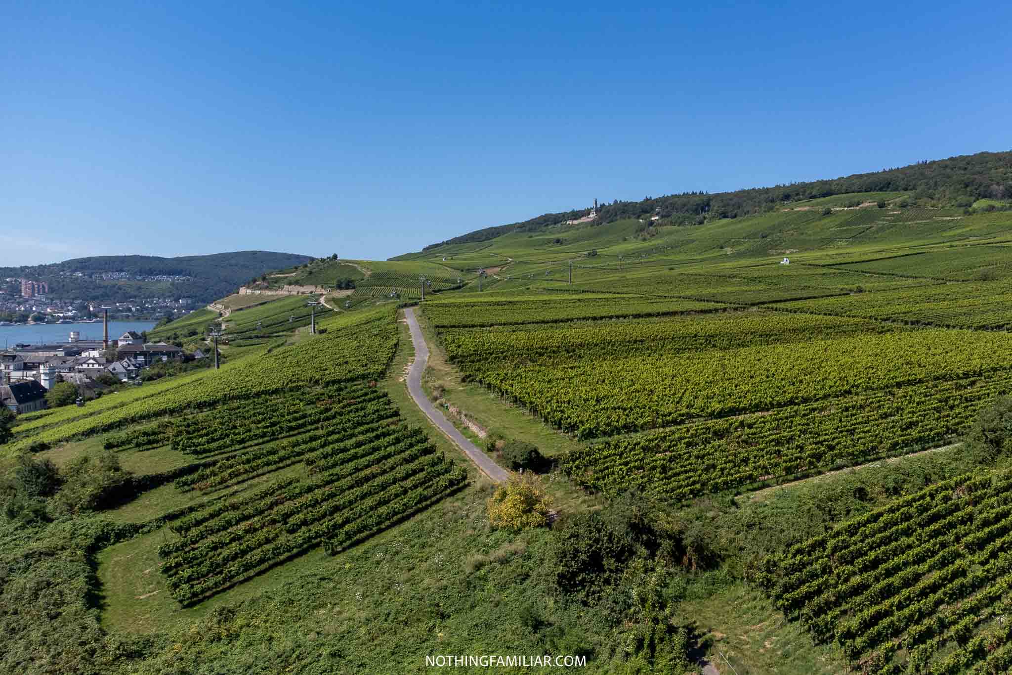 How to Spend One Day in Rudesheim Germany