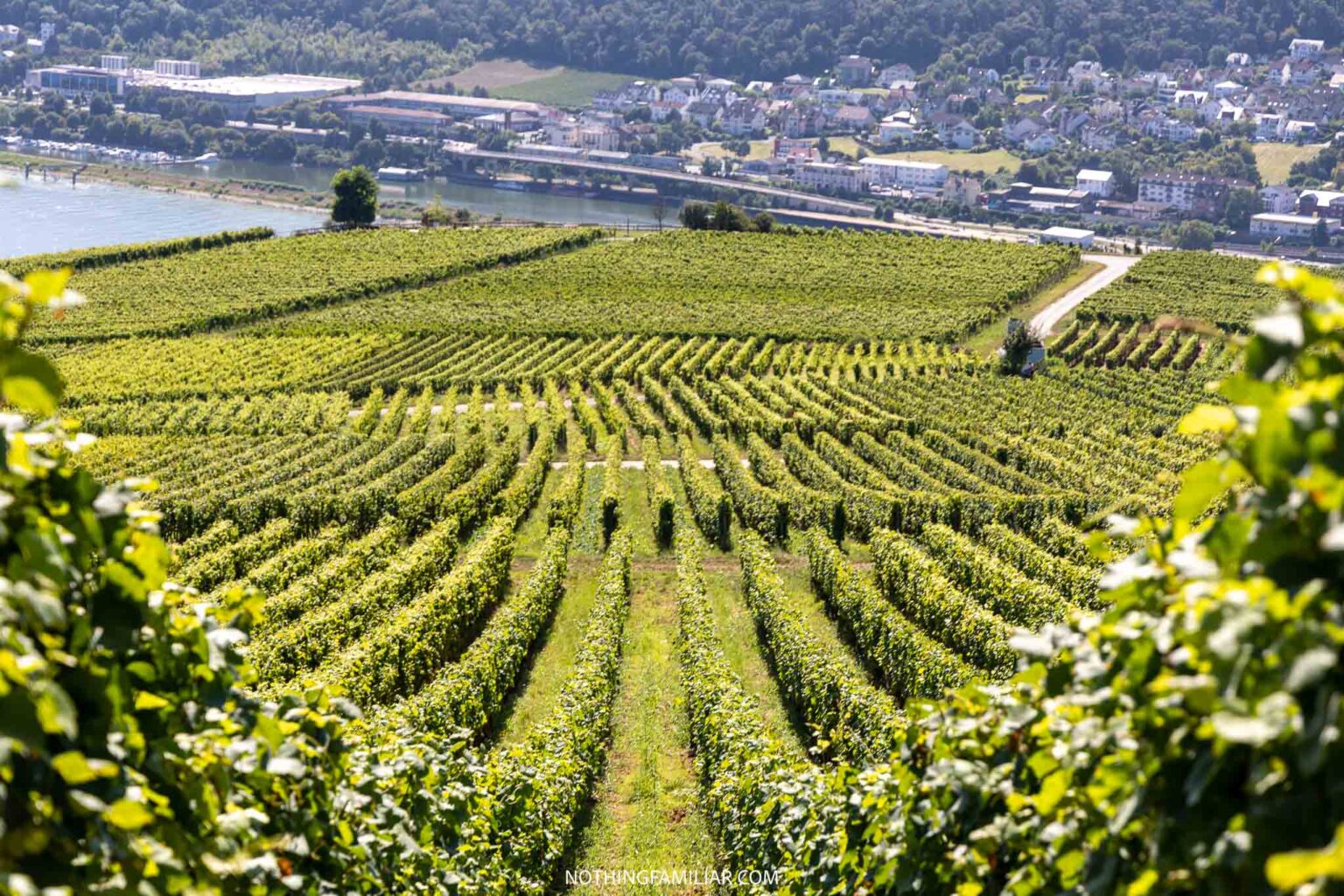 How to Spend One Day in Rudesheim Germany