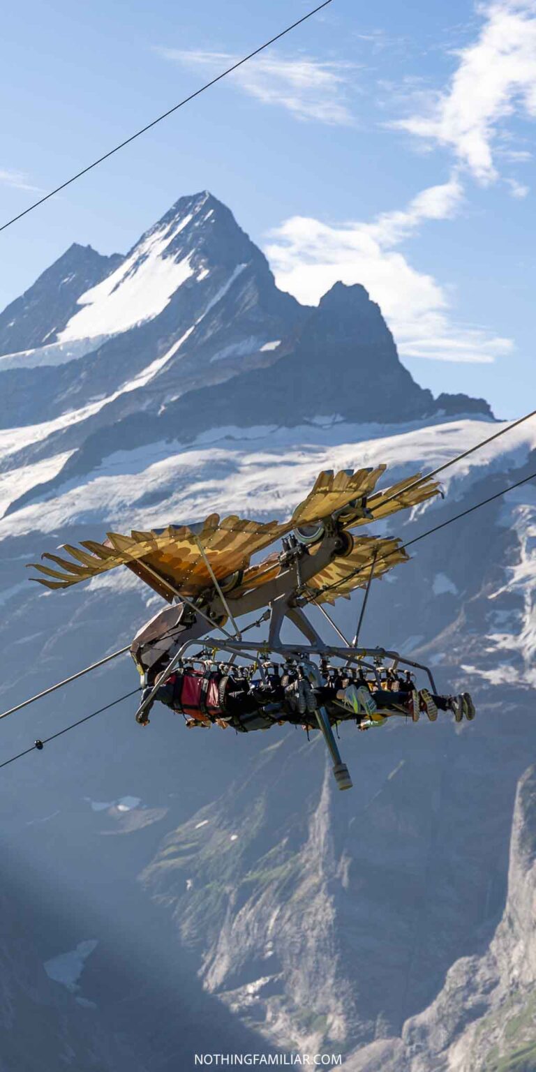 10 Tips For An Epic Day at Grindelwald-First Switzerland